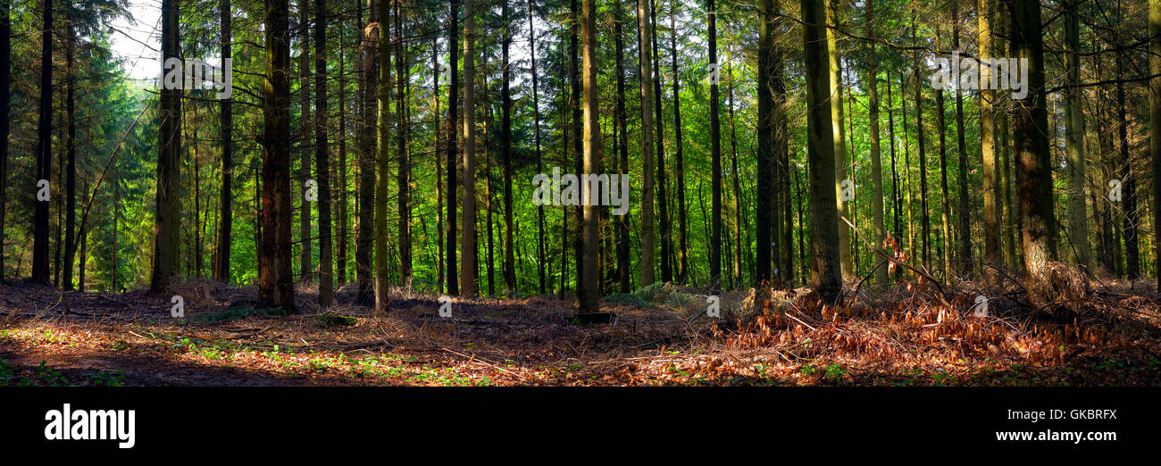 big large enormous Stock Photo - Alamy