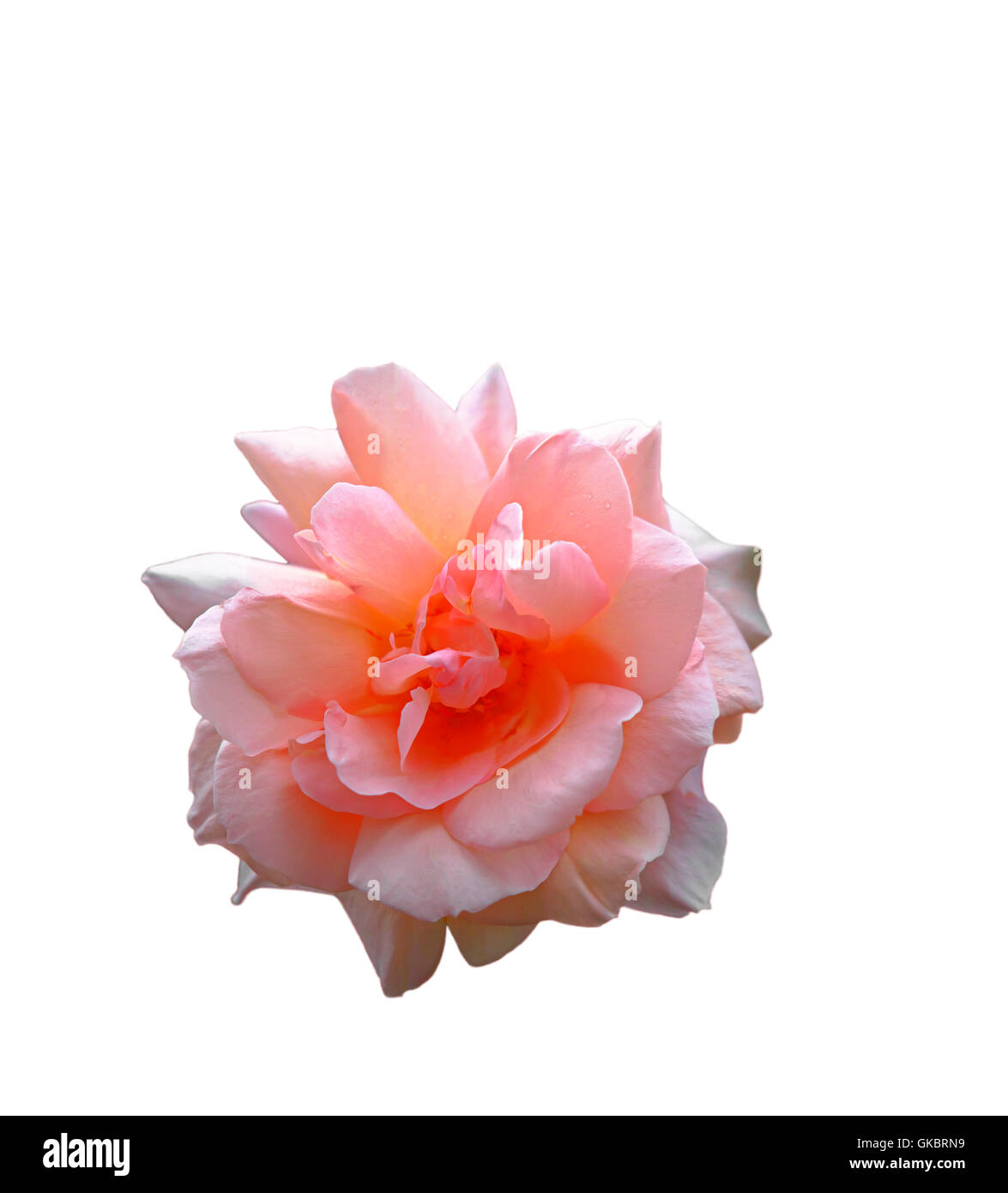 Image on postcard Cut Out Stock Images & Pictures - Alamy