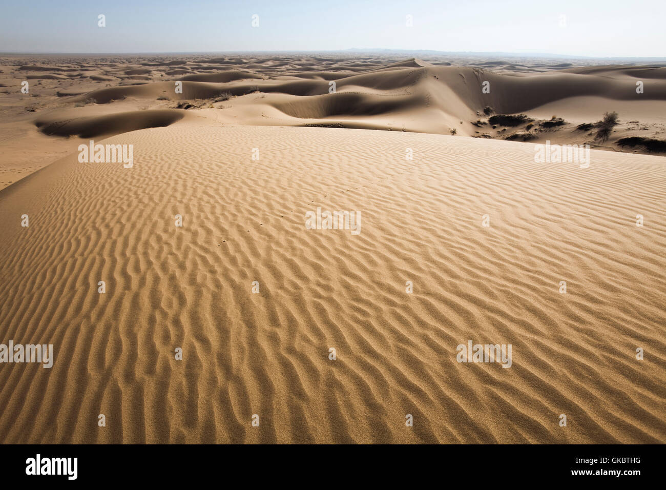Thin sandy land hi-res stock photography and images - Alamy
