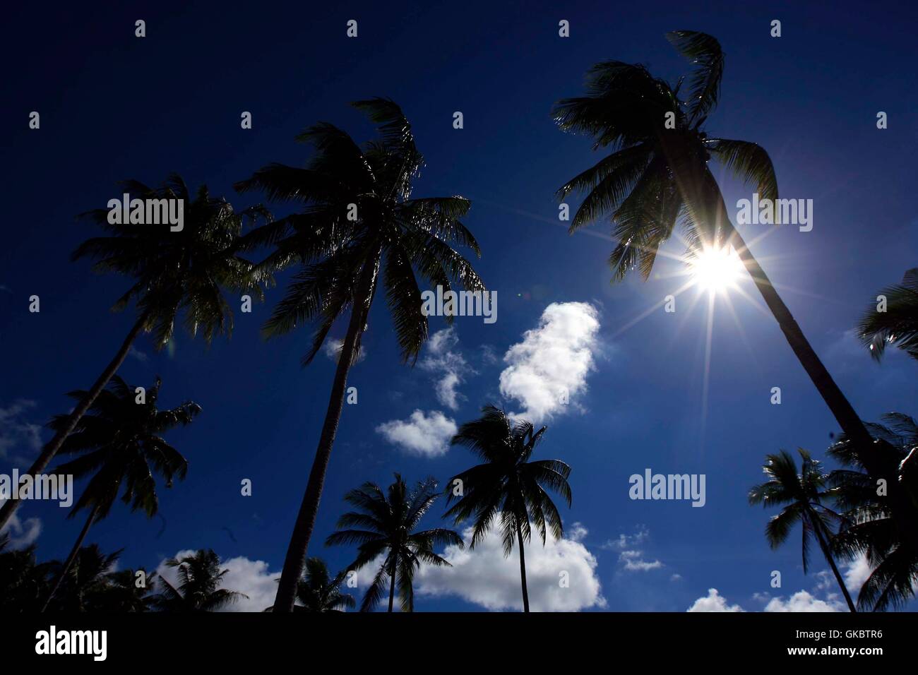 A view of Trikora beach in Bintan island, Indonesia. Photo by Yuli ...