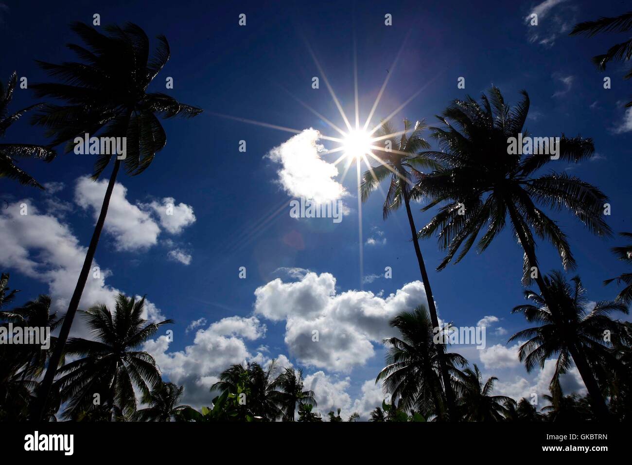 A view of Trikora beach in Bintan island, Indonesia. Photo by Yuli ...