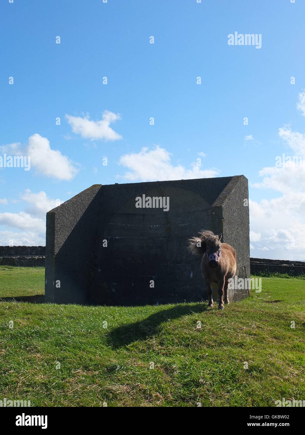 World war listening device hi-res stock photography and images - Alamy