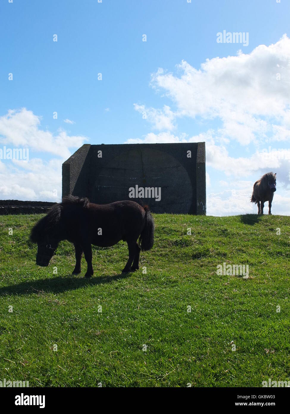First World War sound mirror built as acoustic defence at Boulby near ...