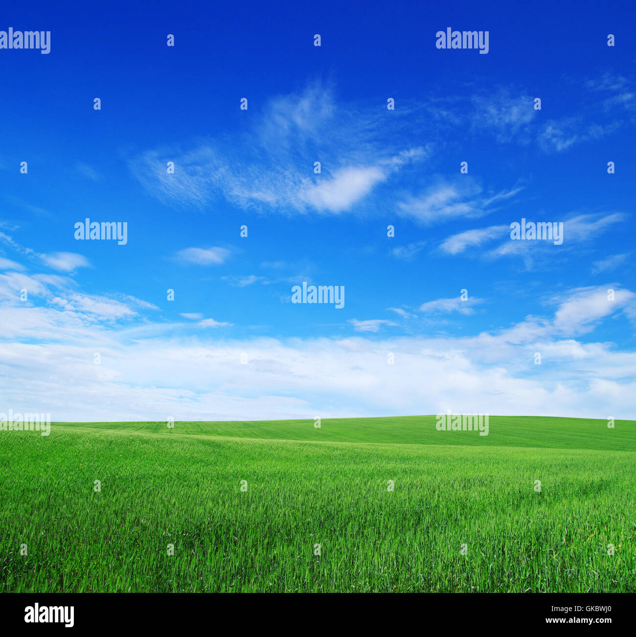 horizon agriculture farming Stock Photo - Alamy
