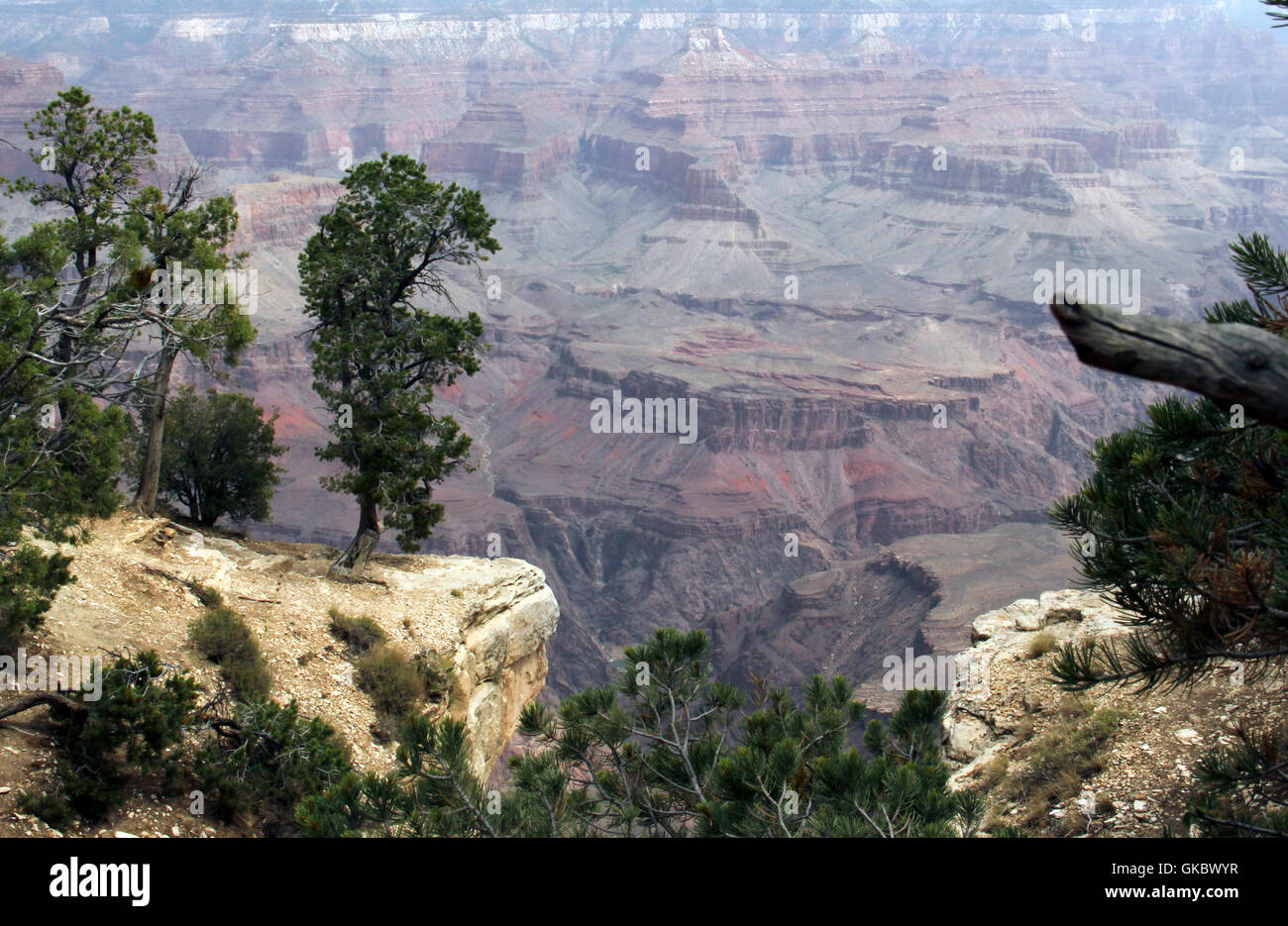 South rim view from the Grand Canyon National Park in Arizona Stock ...