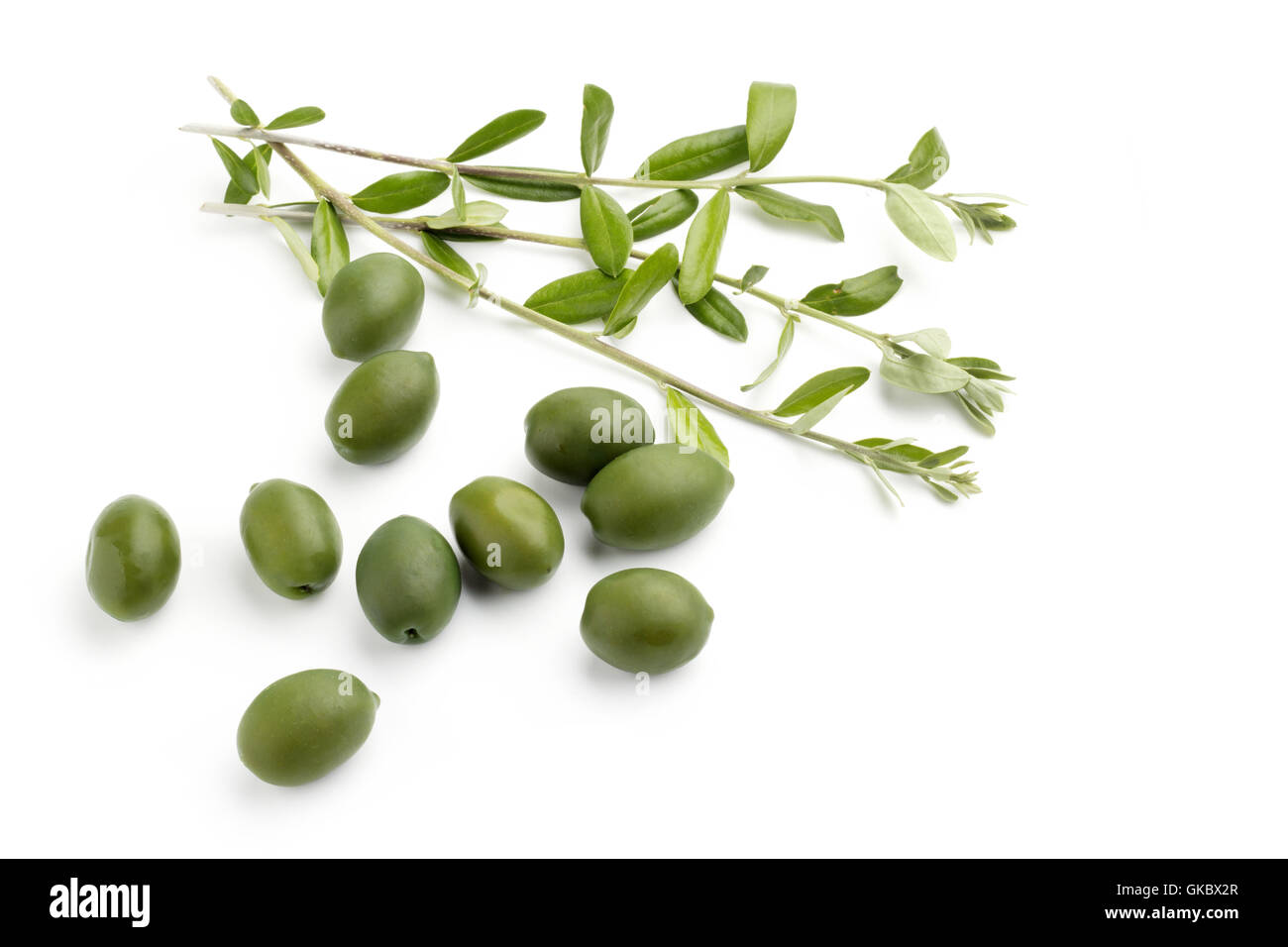 Typical branch Cut Out Stock Images & Pictures - Alamy