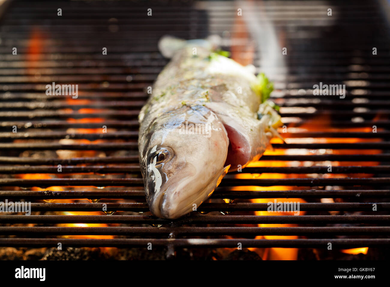 Food to fish hi-res stock photography and images - Alamy