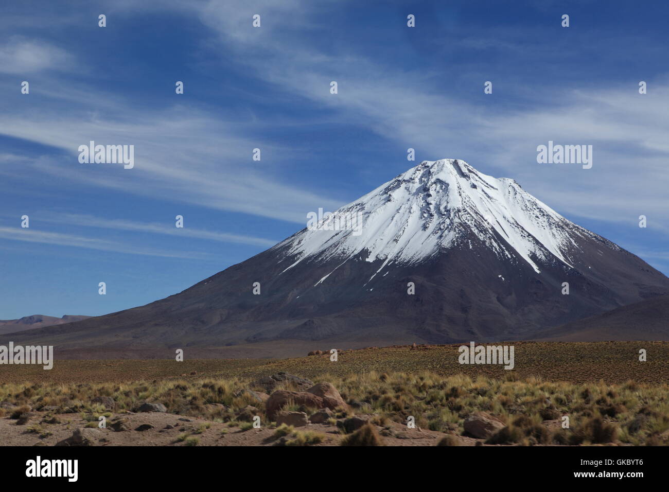 Atacama highland hi-res stock photography and images - Alamy