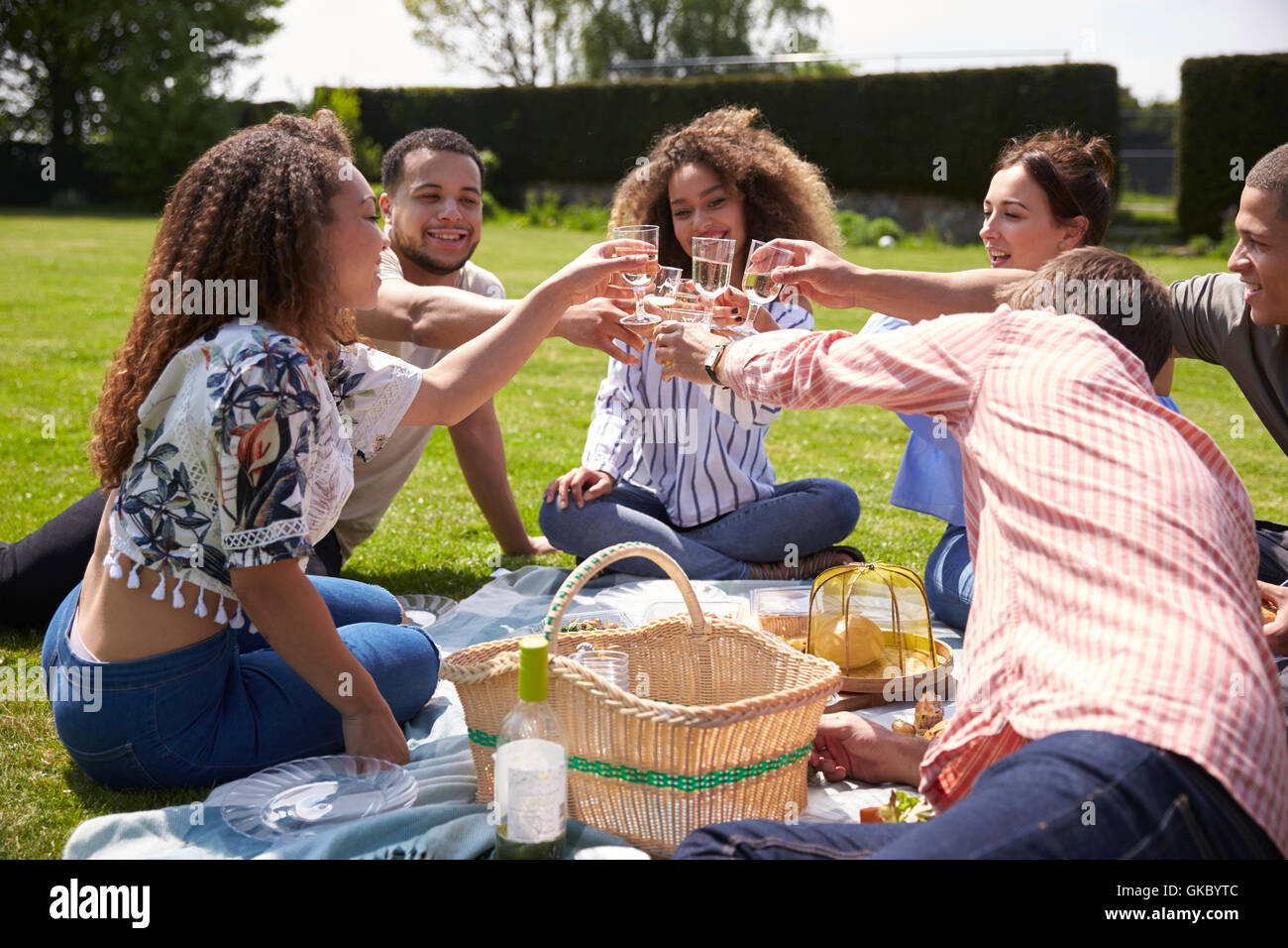 Young adult friends having a picnic make a toast Stock Photo - Alamy