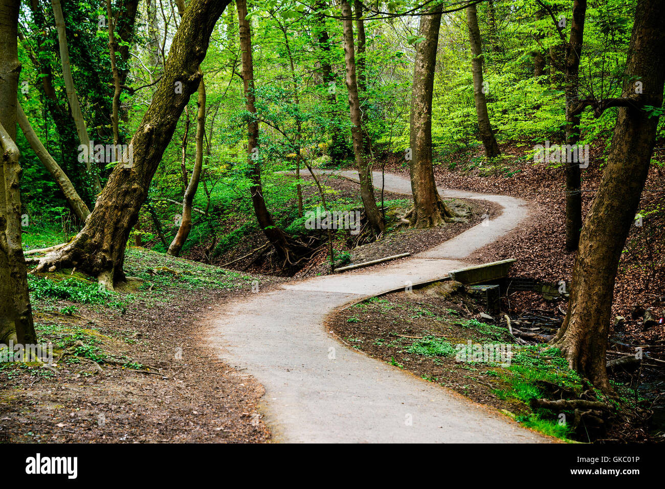 Walking path through the woods hi-res stock photography and images - Alamy