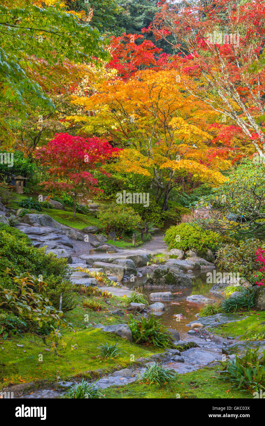 Fall Season Colors Vertical Landscape with Meandering Stream Stock ...