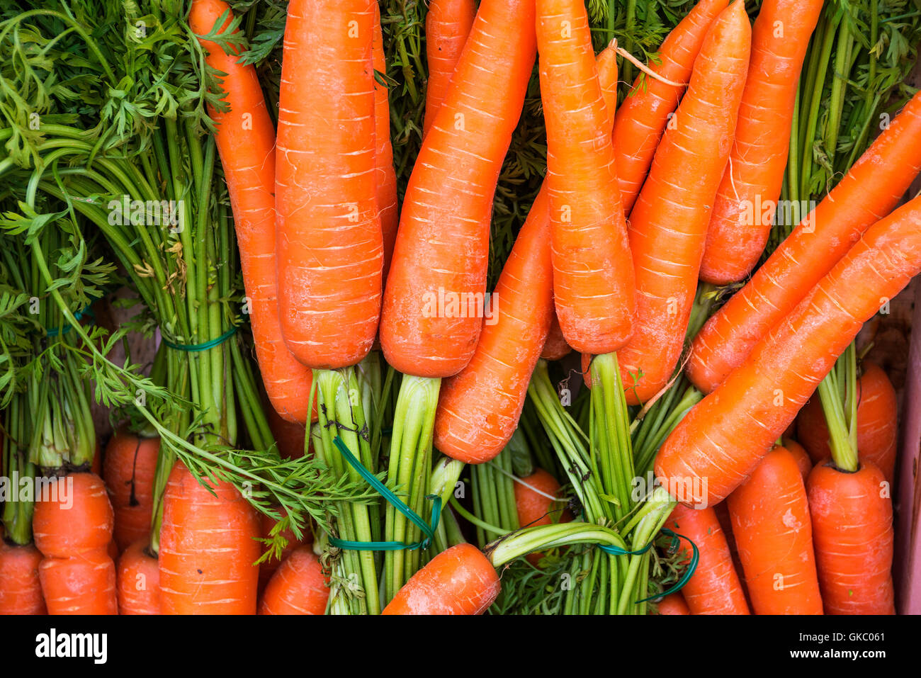 Orange tops hi-res stock photography and images - Alamy
