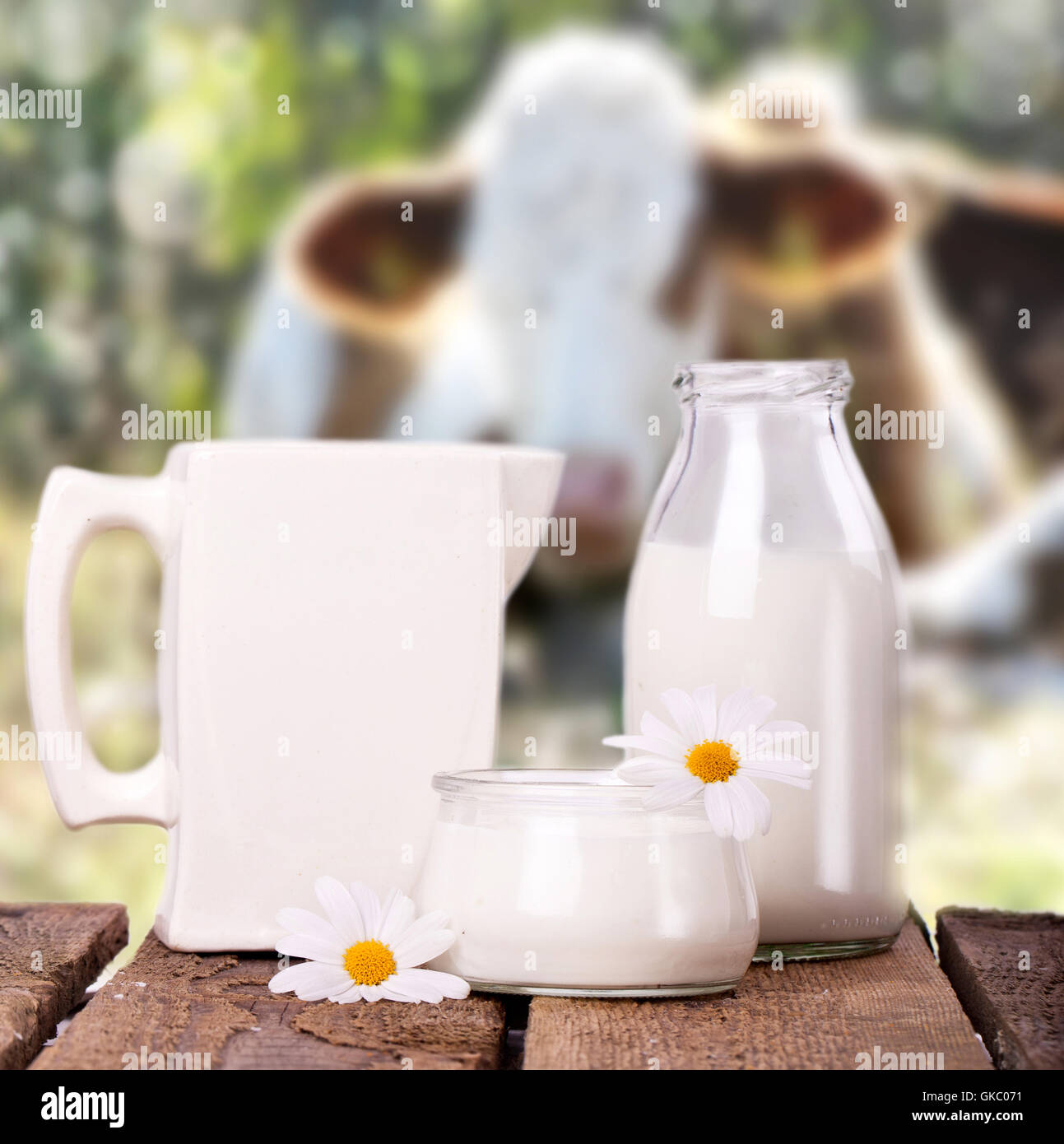 Production of cows milk hi-res stock photography and images - Alamy