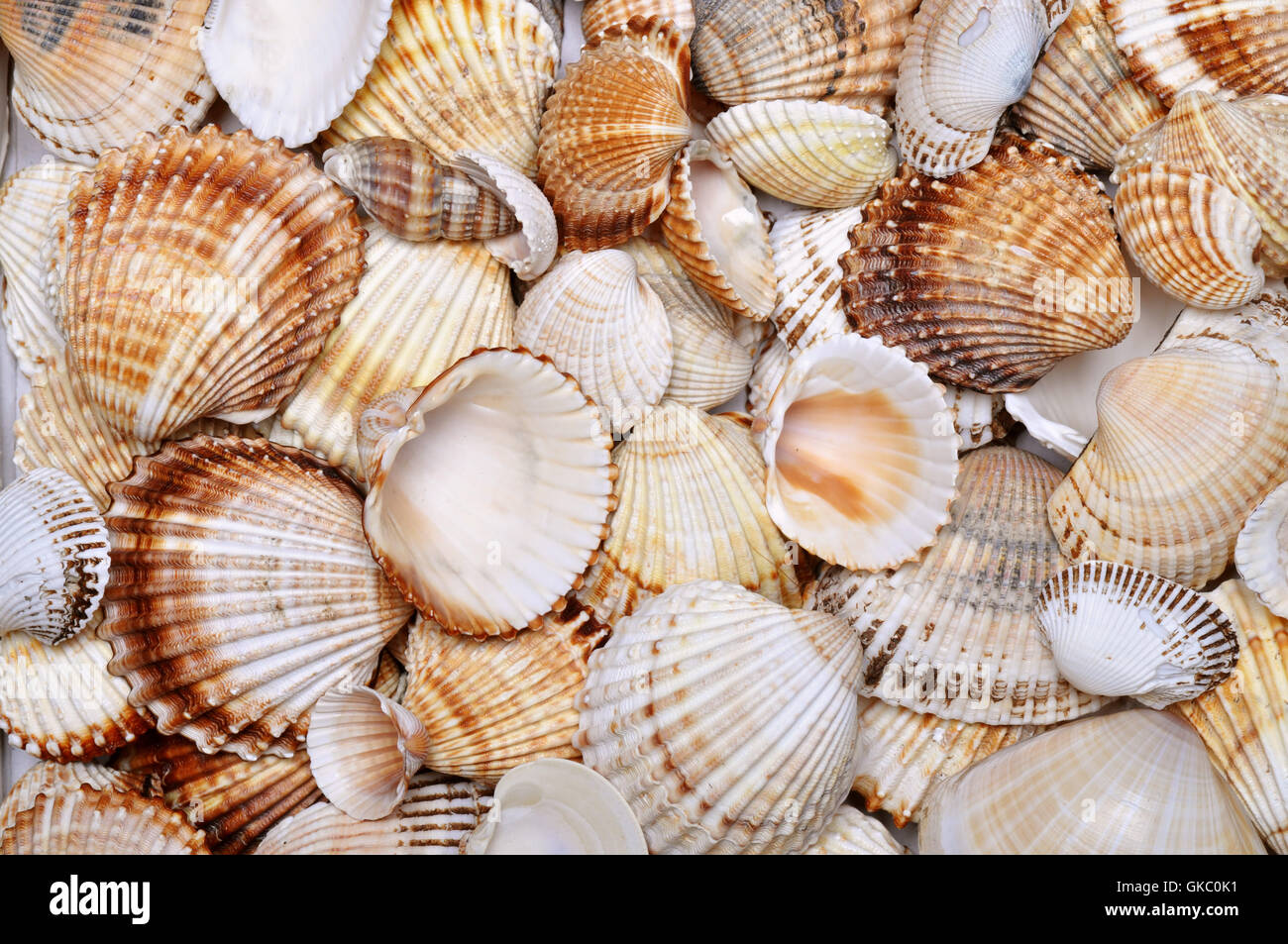 Fixed holidays hi-res stock photography and images - Alamy