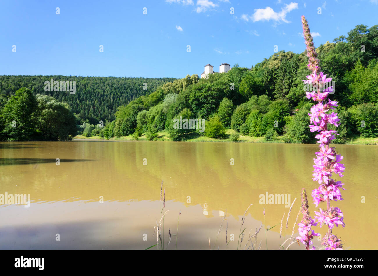 Lockenhaus castle hi-res stock photography and images - Alamy