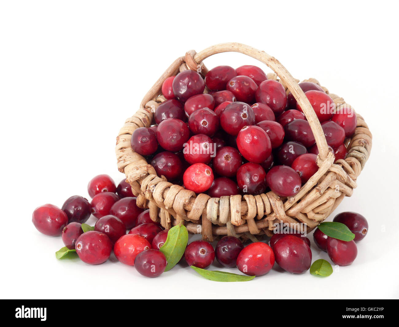 Cranberries hi-res stock photography and images - Alamy