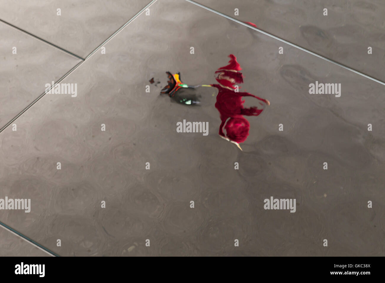 Contorted hi-res stock photography and images - Alamy