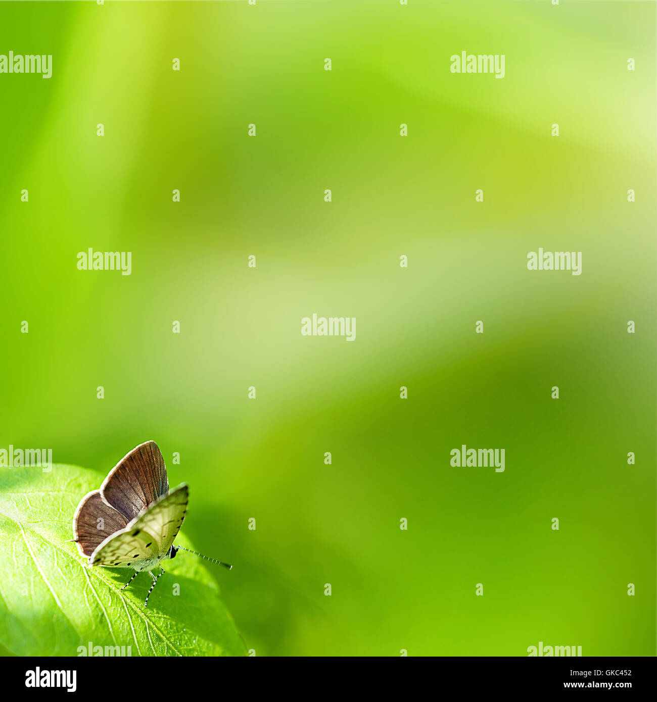 close motion postponement Stock Photo - Alamy