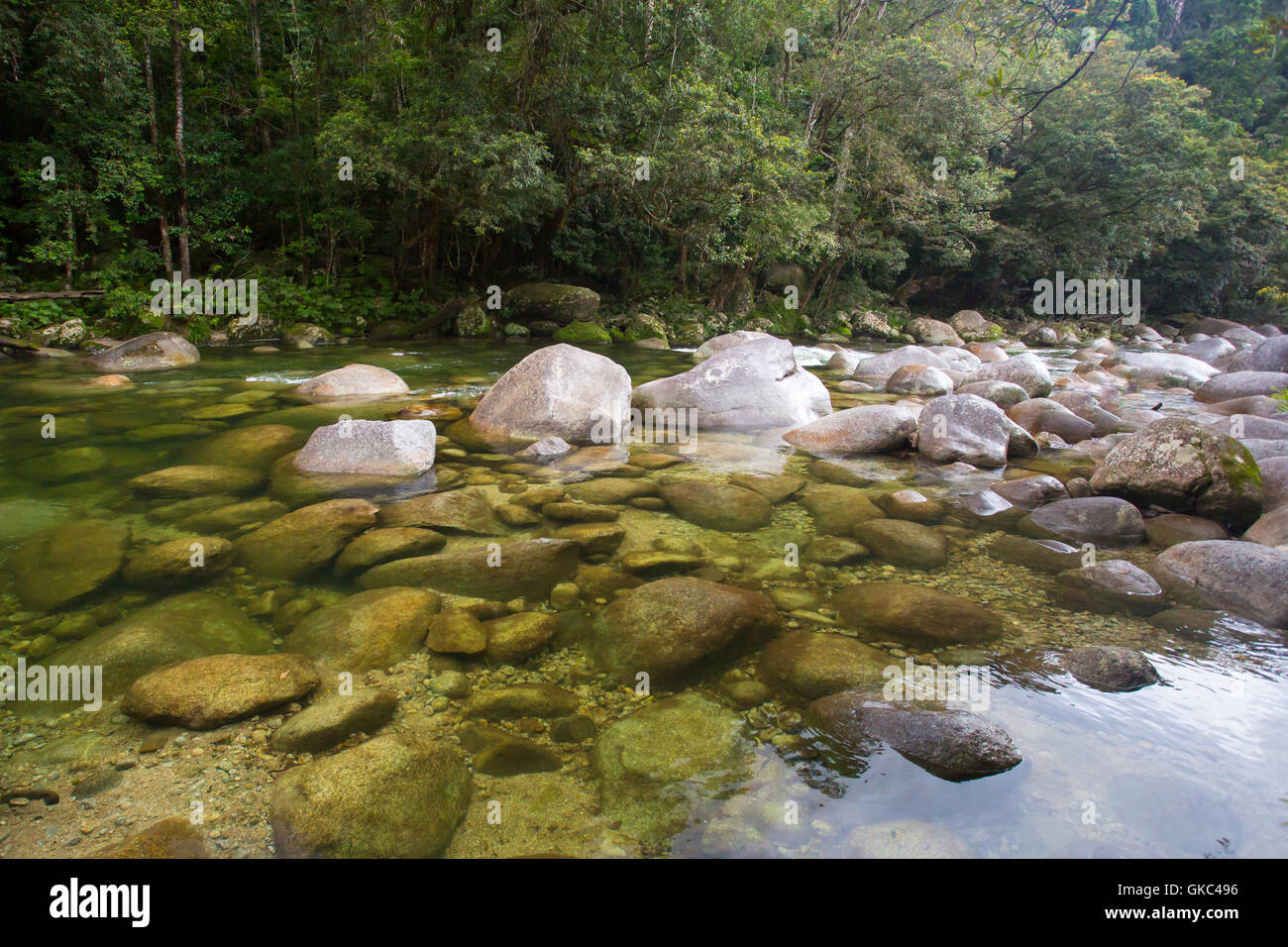 Mossman Gorge Rapids Stock Photo - Alamy