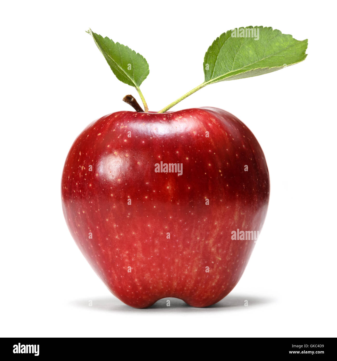 Perfect leave hi-res stock photography and images - Alamy