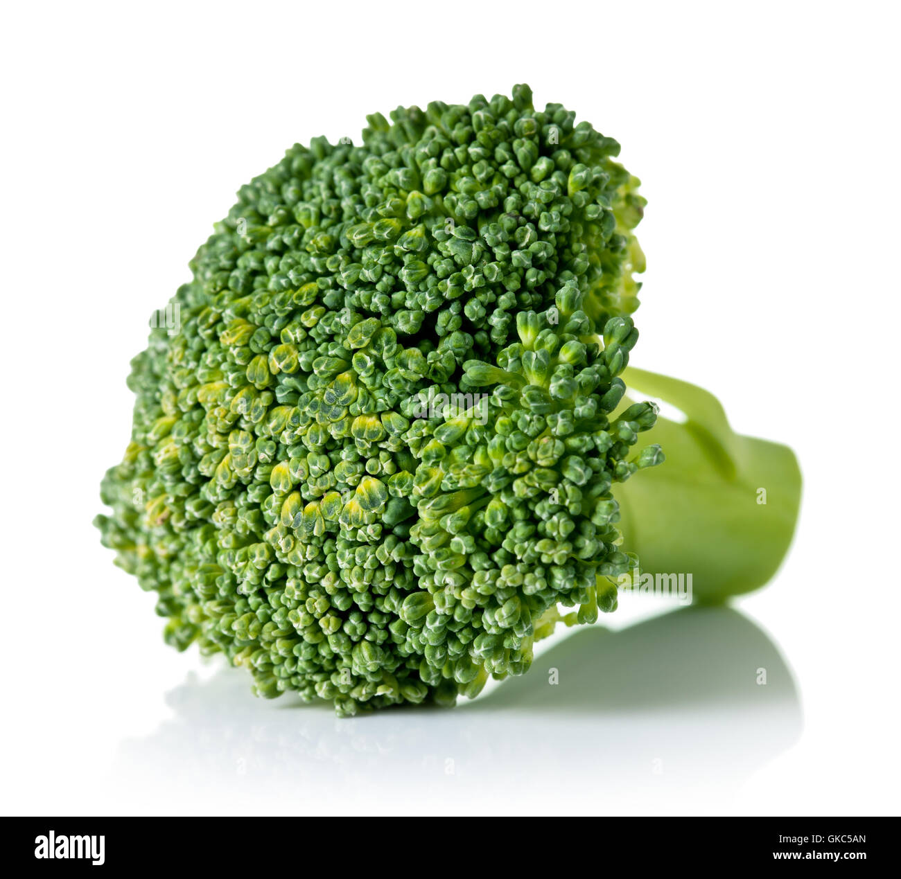 isolated branch vegetable Stock Photo - Alamy