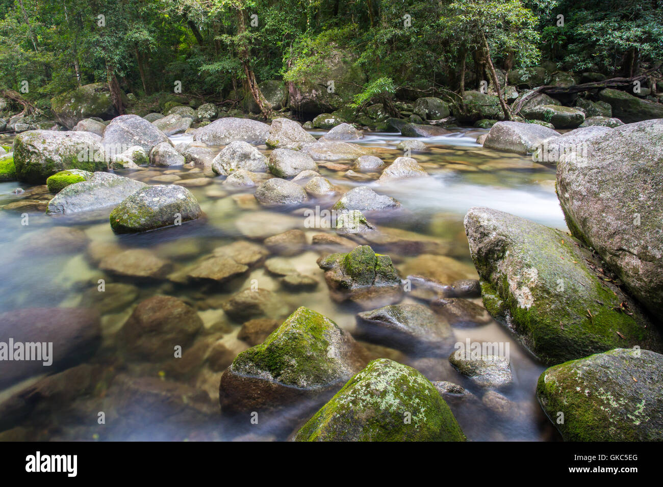 Mossman Gorge Rapids Stock Photo - Alamy