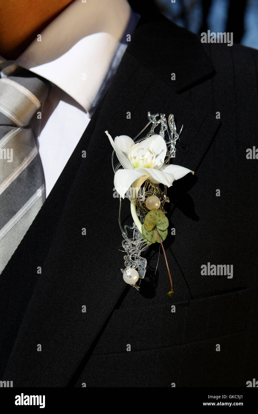 Wedding bound hi-res stock photography and images - Alamy