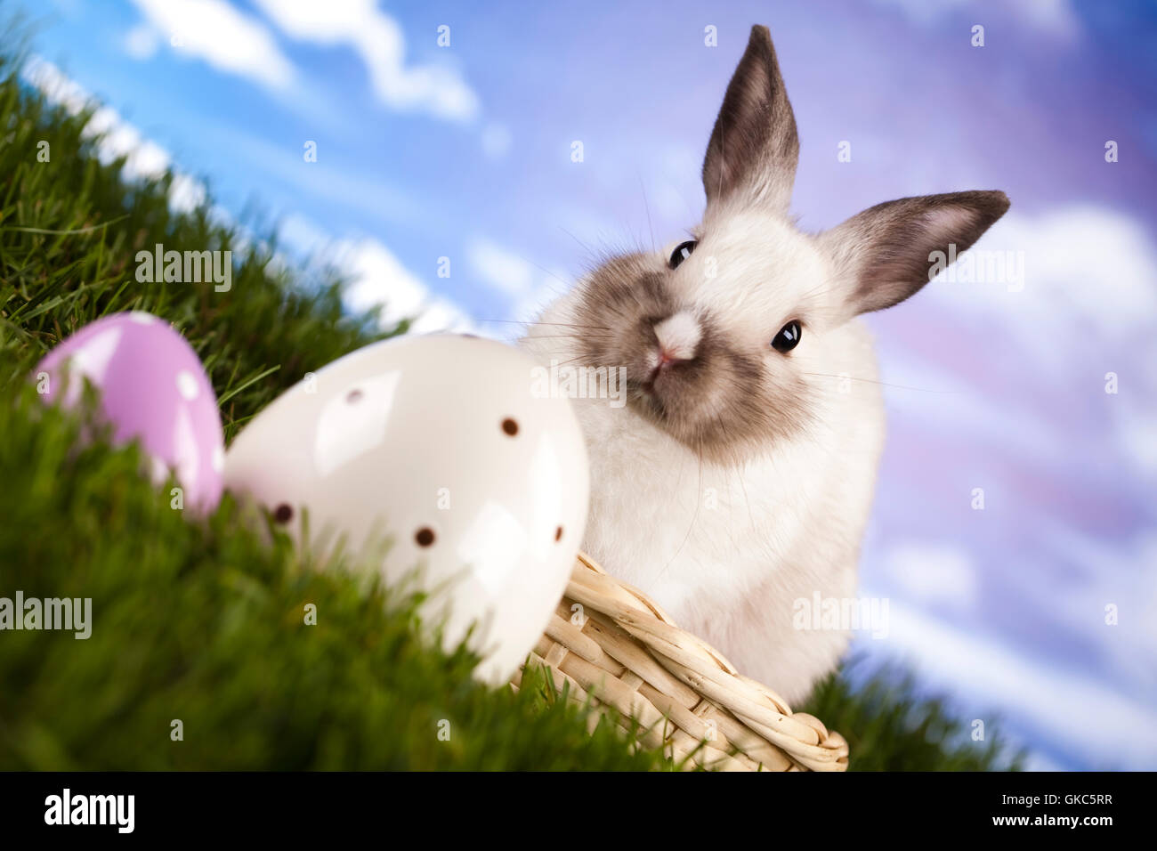 Happycute hi-res stock photography and images - Alamy