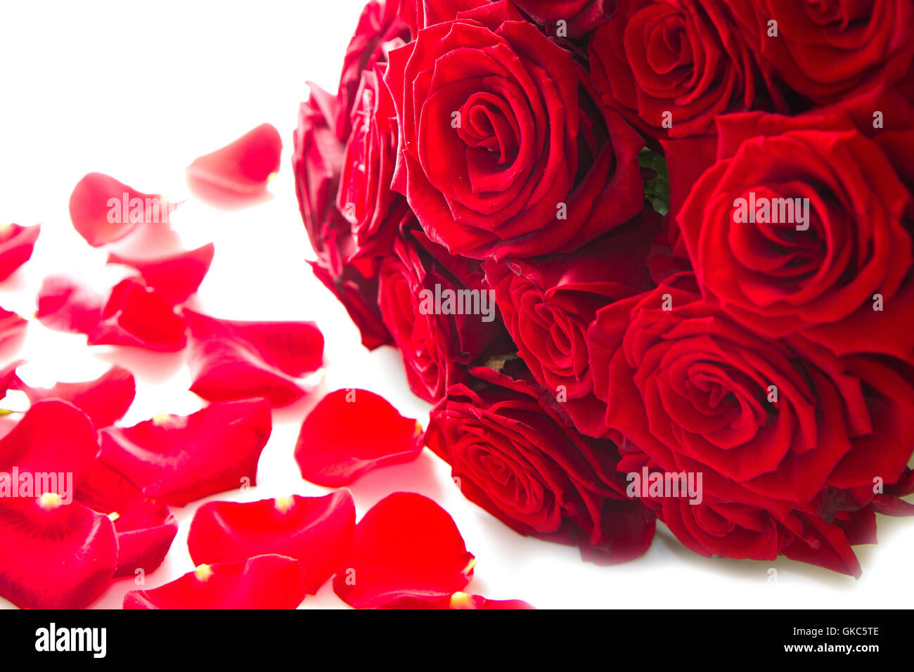 close present beautiful Stock Photo - Alamy