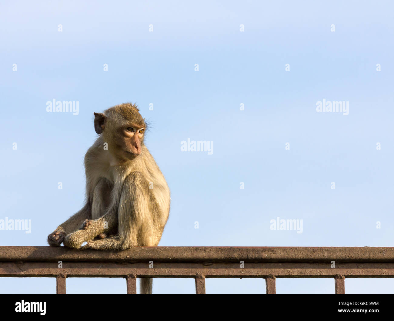 What kind of life do you want to be living hi-res stock photography and ...