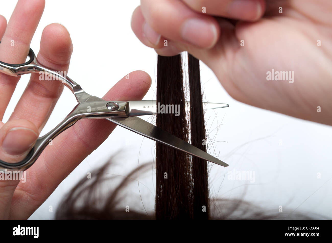 female barber haircut Stock Photo - Alamy