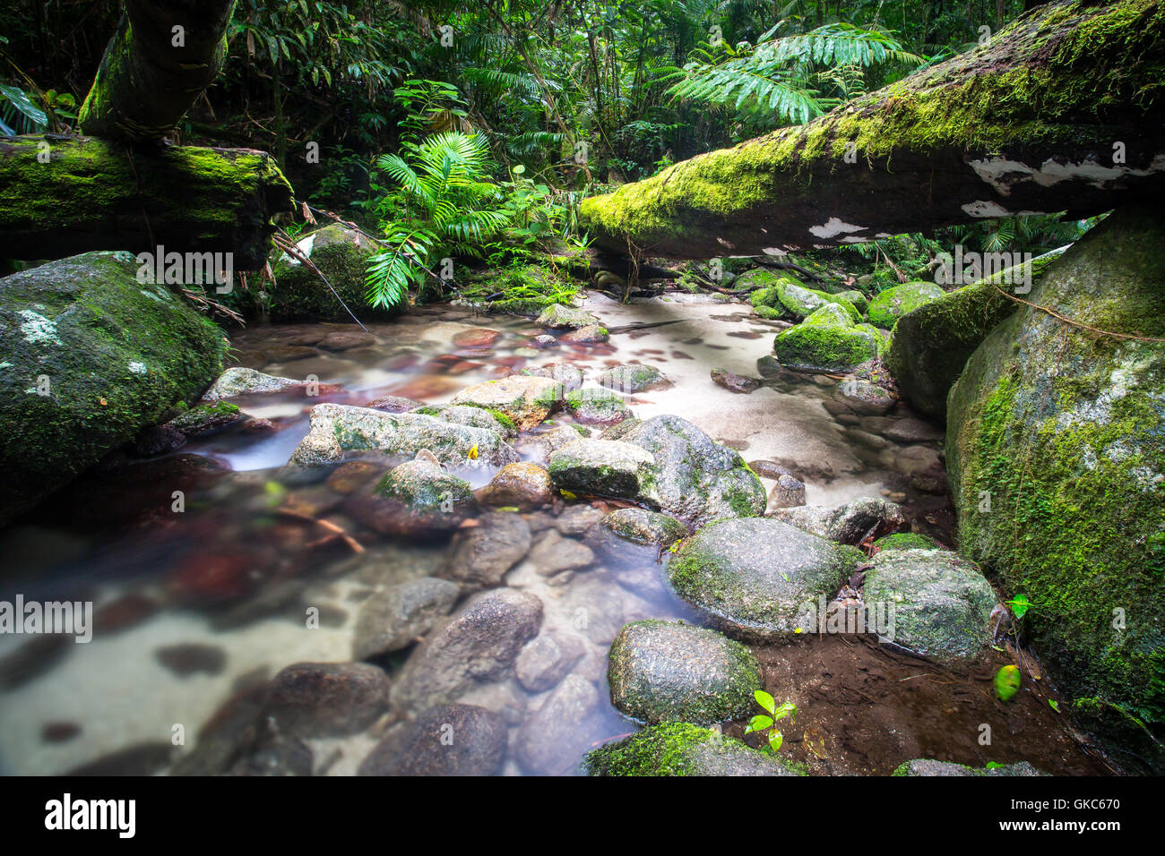 Mossman Gorge Scenery Stock Photo - Alamy