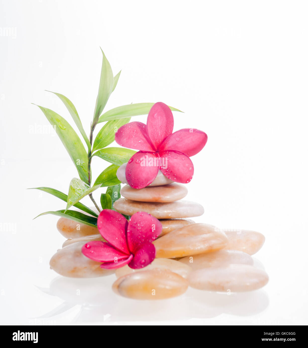 stone flower plant Stock Photo - Alamy