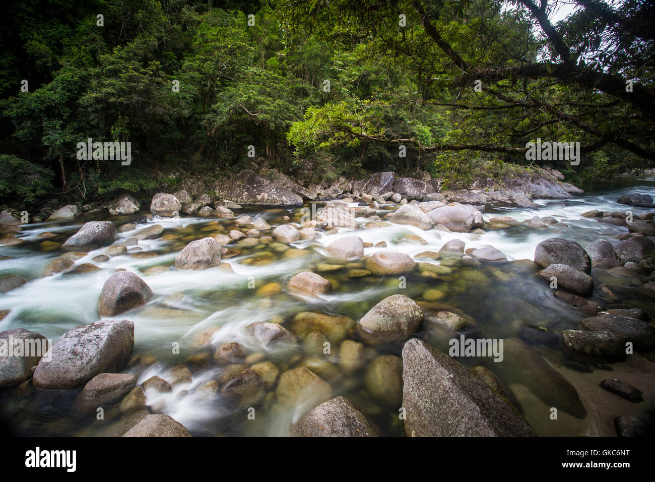 Mossman Gorge Rapids Stock Photo - Alamy