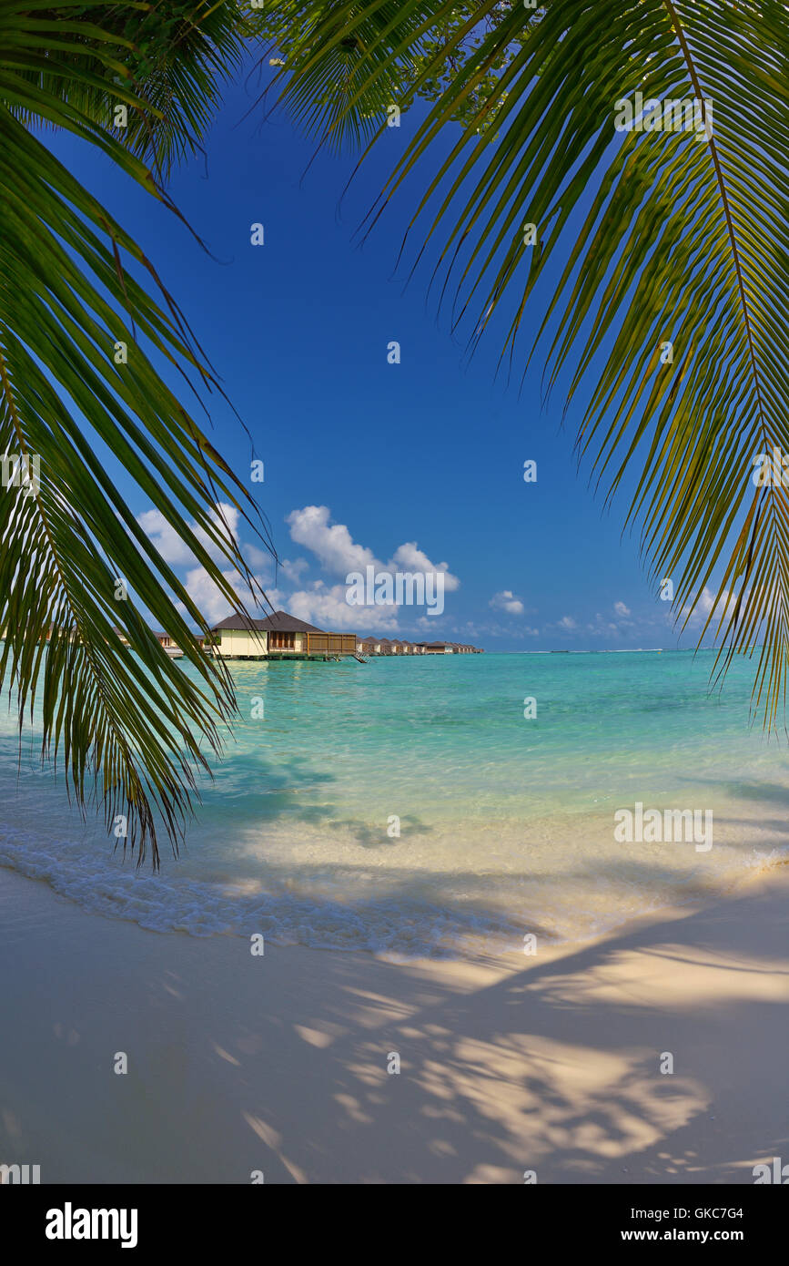 blue house building Stock Photo - Alamy