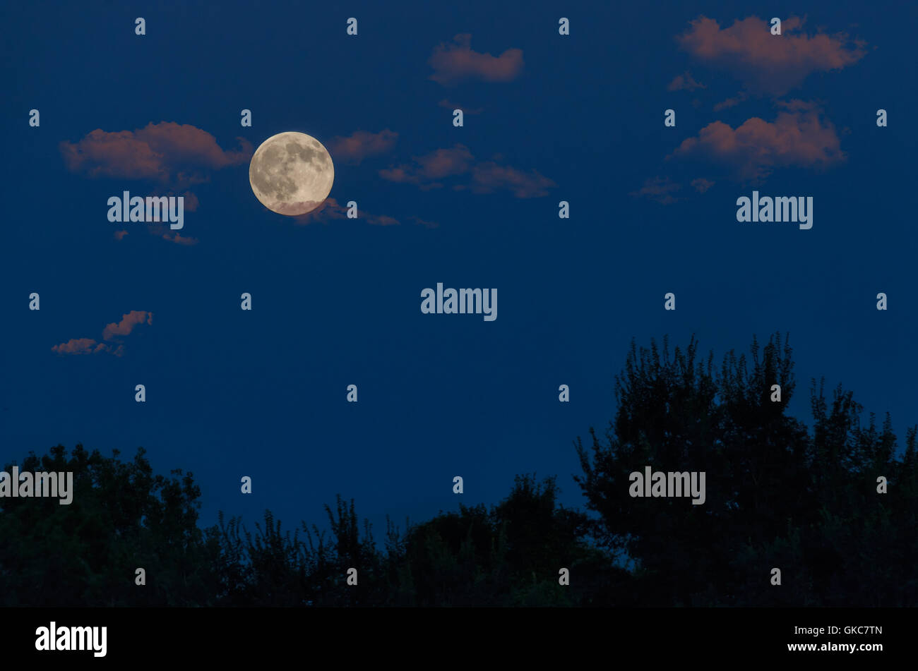 Full moon rising behind tree hi-res stock photography and images - Alamy