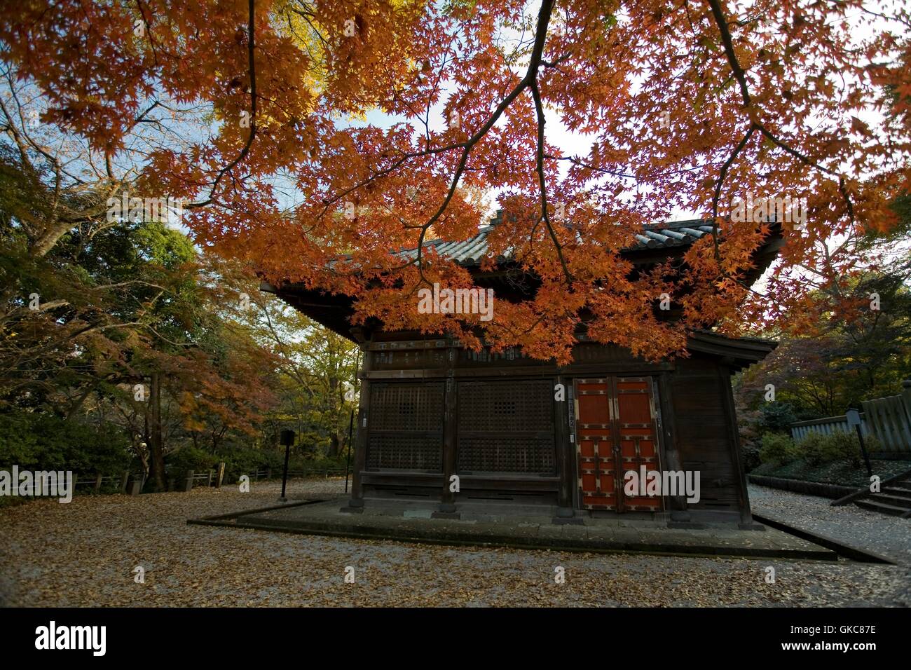 Orange, yellow and green leaf trees in the grounds of the Kitain temple ...