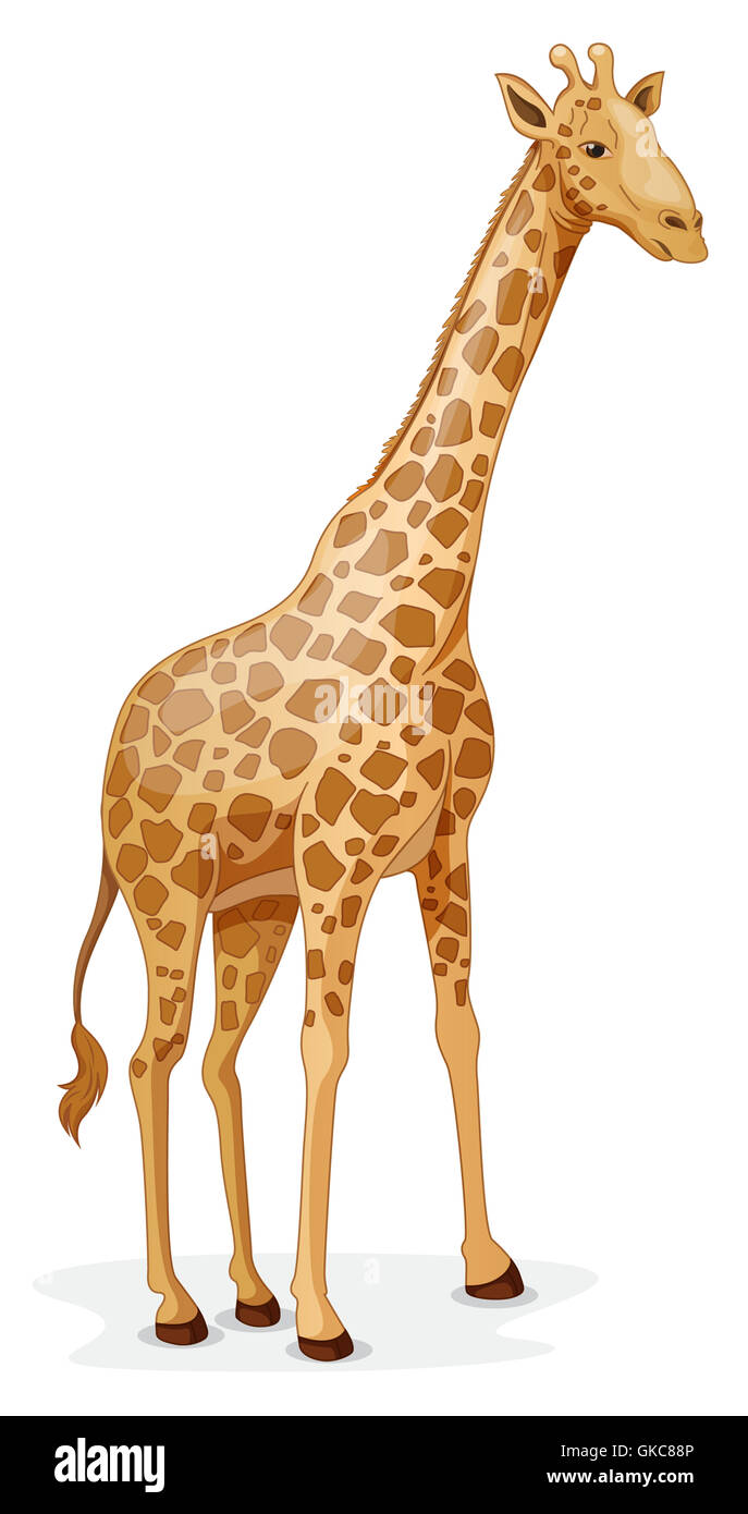 object single isolated Stock Photo - Alamy