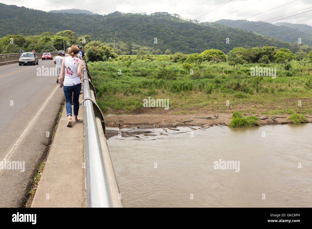 Tourists looking at the crocodiles, the Tarcoles river bridge, Costa ...