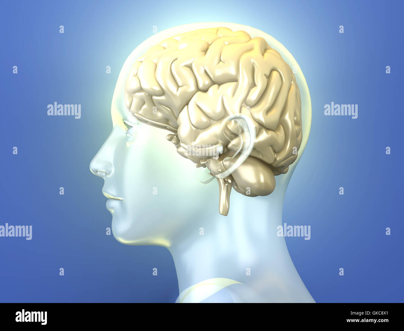 education graphic science Stock Photo - Alamy