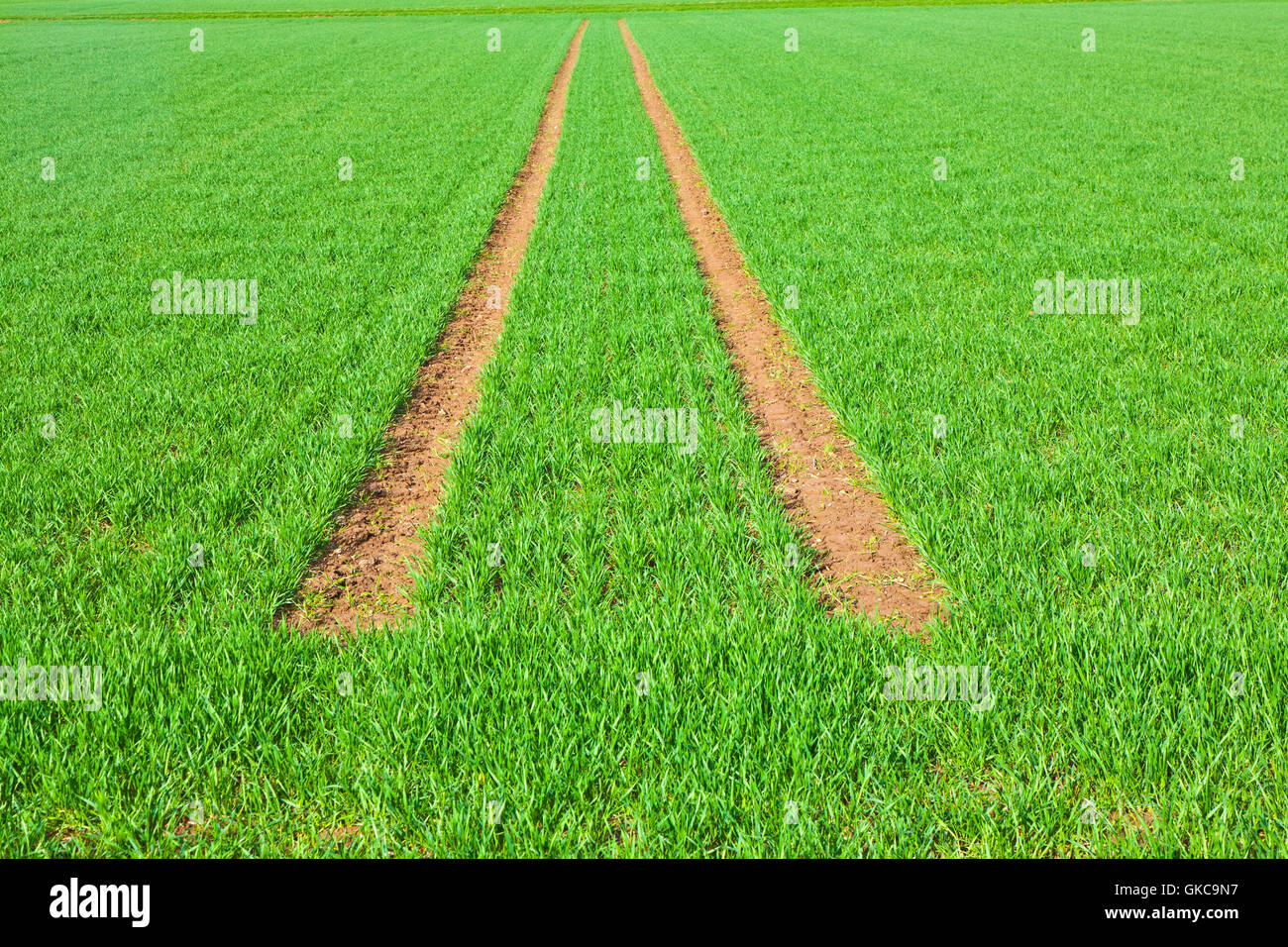field lines direction Stock Photo - Alamy
