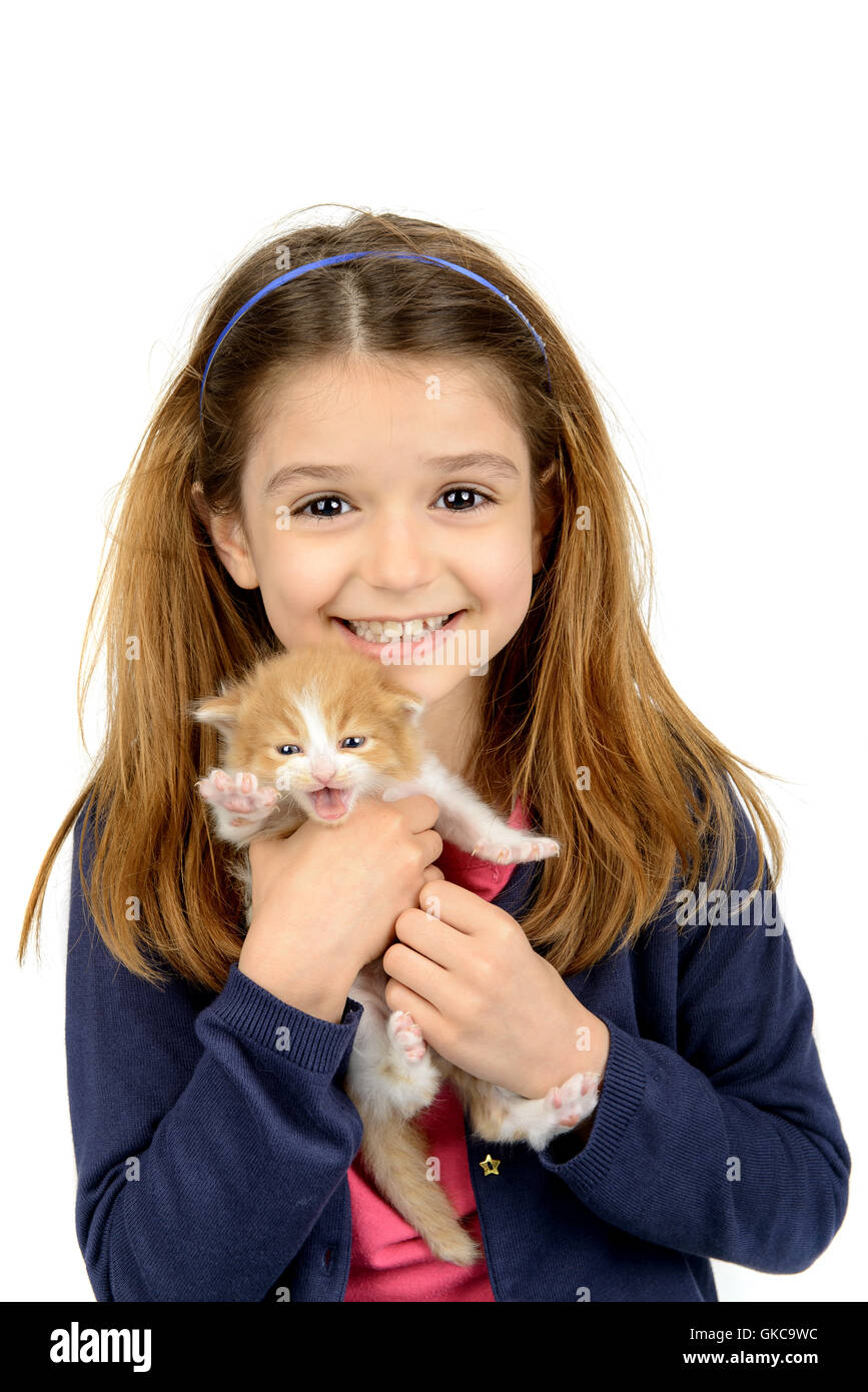 cub baby cat baby Stock Photo - Alamy