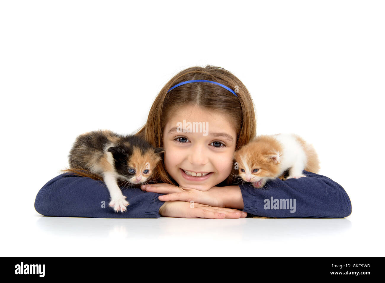 cub baby cat baby Stock Photo - Alamy