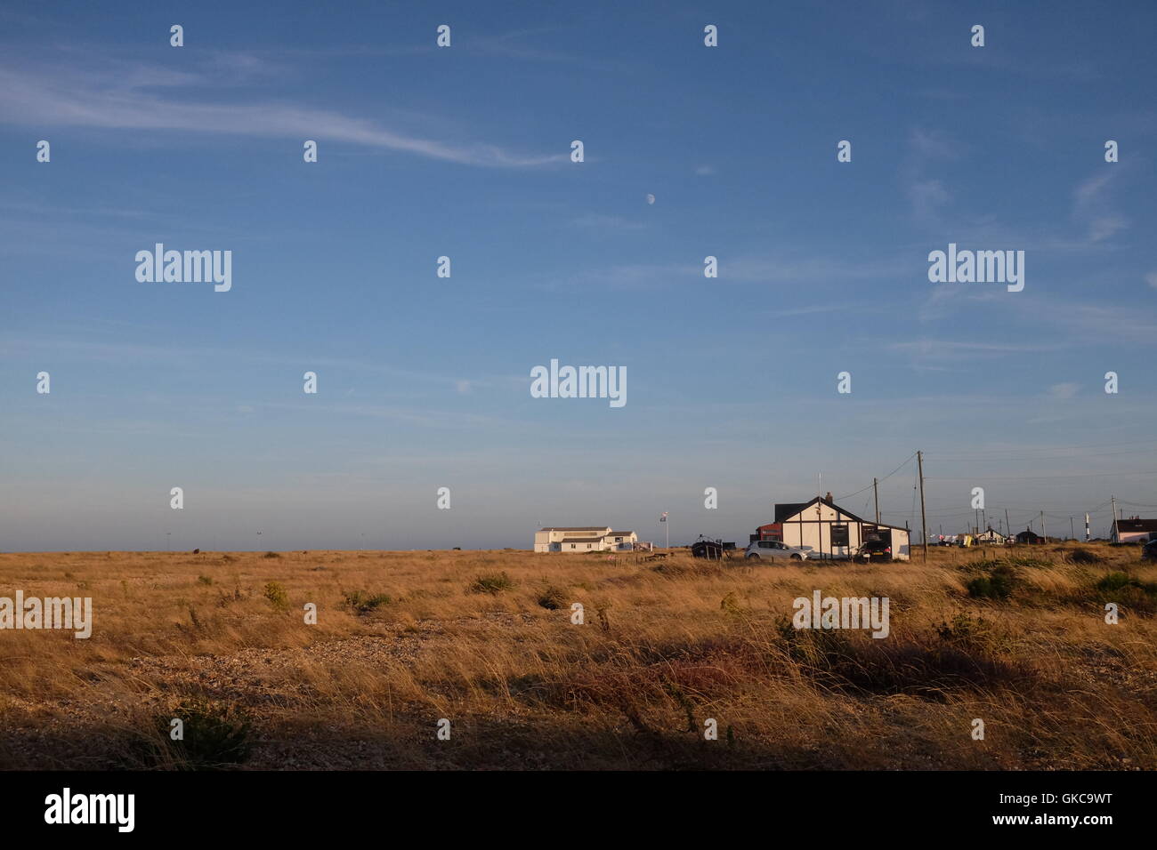 View across Dungeness Kent UK with remote properties cottages on the ...