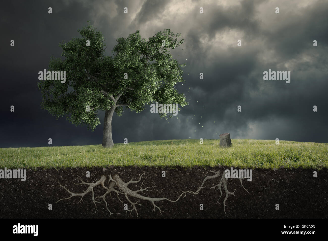 Loss of ecology hi-res stock photography and images - Alamy