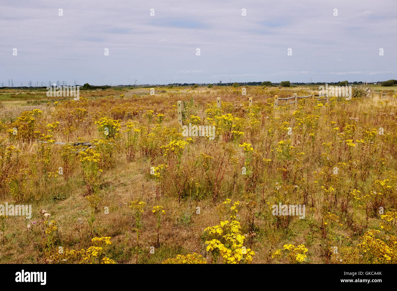 Kent landscape hi-res stock photography and images - Alamy