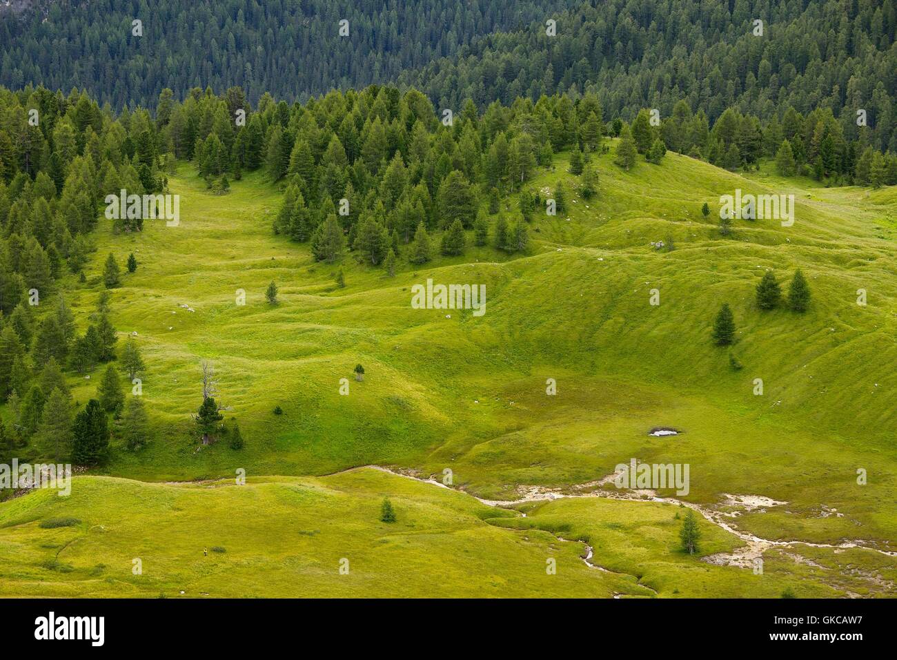 field alps valley Stock Photo - Alamy