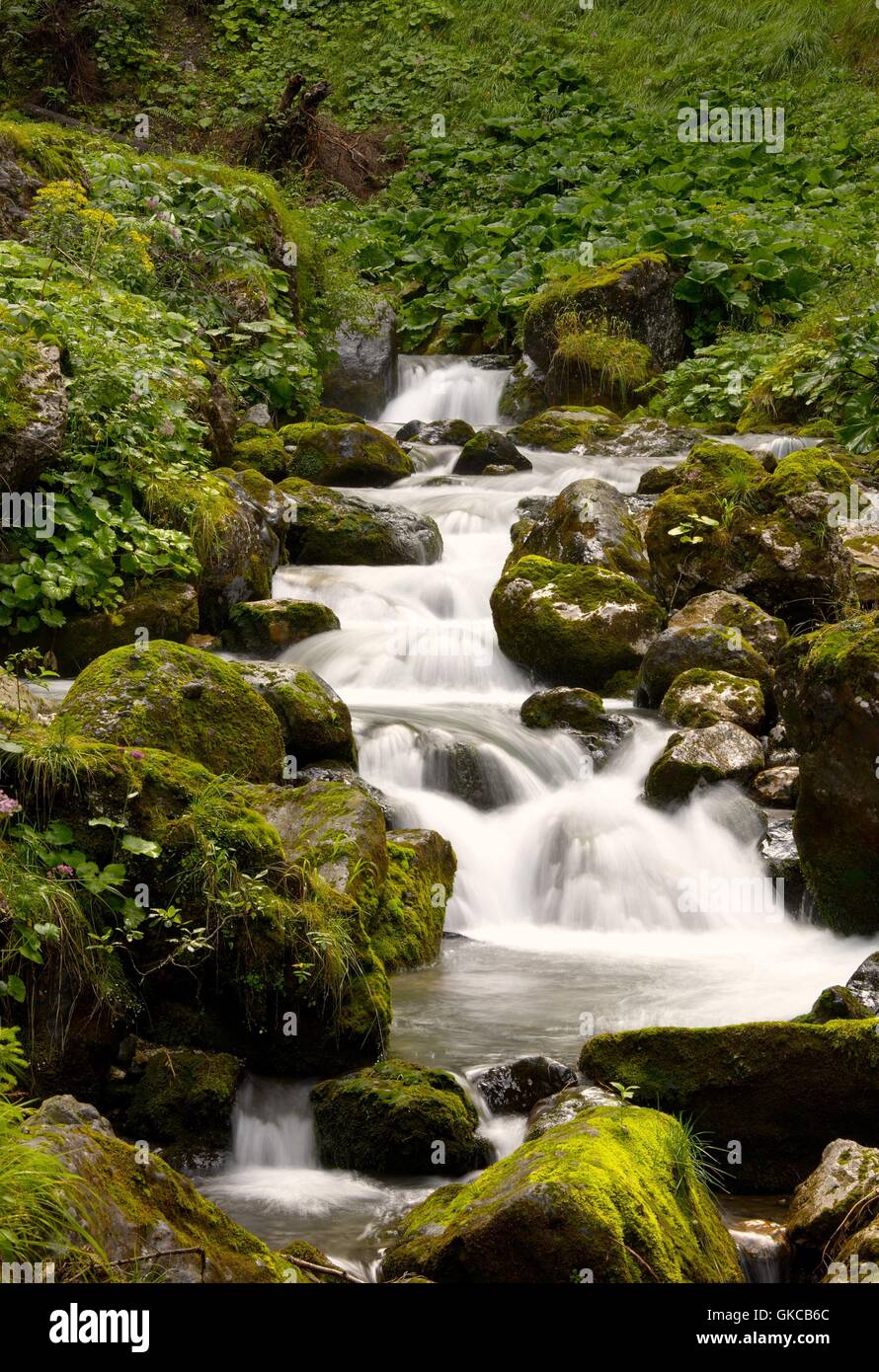 flow stream waterfall Stock Photo - Alamy