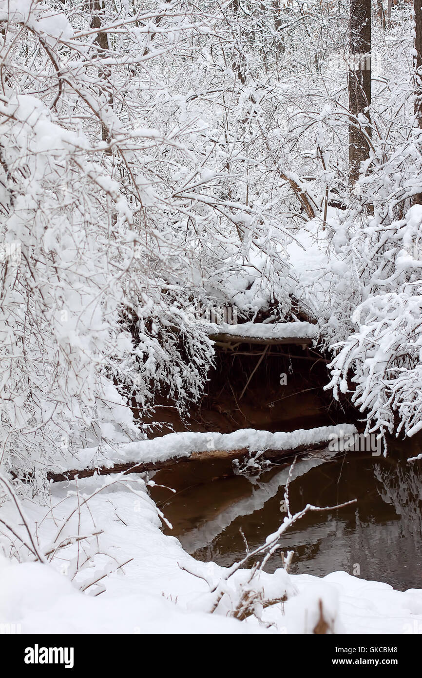 Newly fallen snow hi-res stock photography and images - Alamy