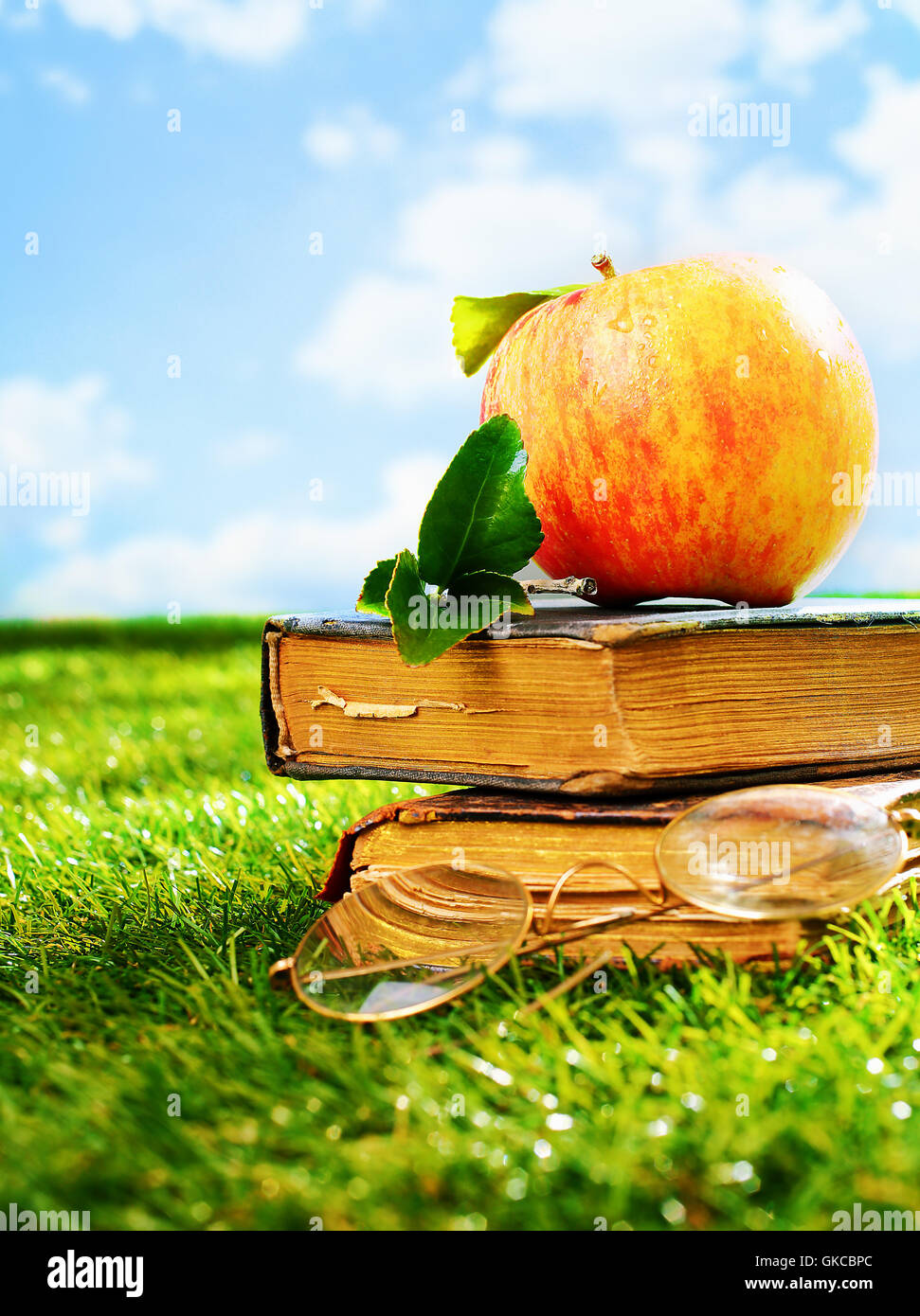 Leisure time back school hi-res stock photography and images - Alamy